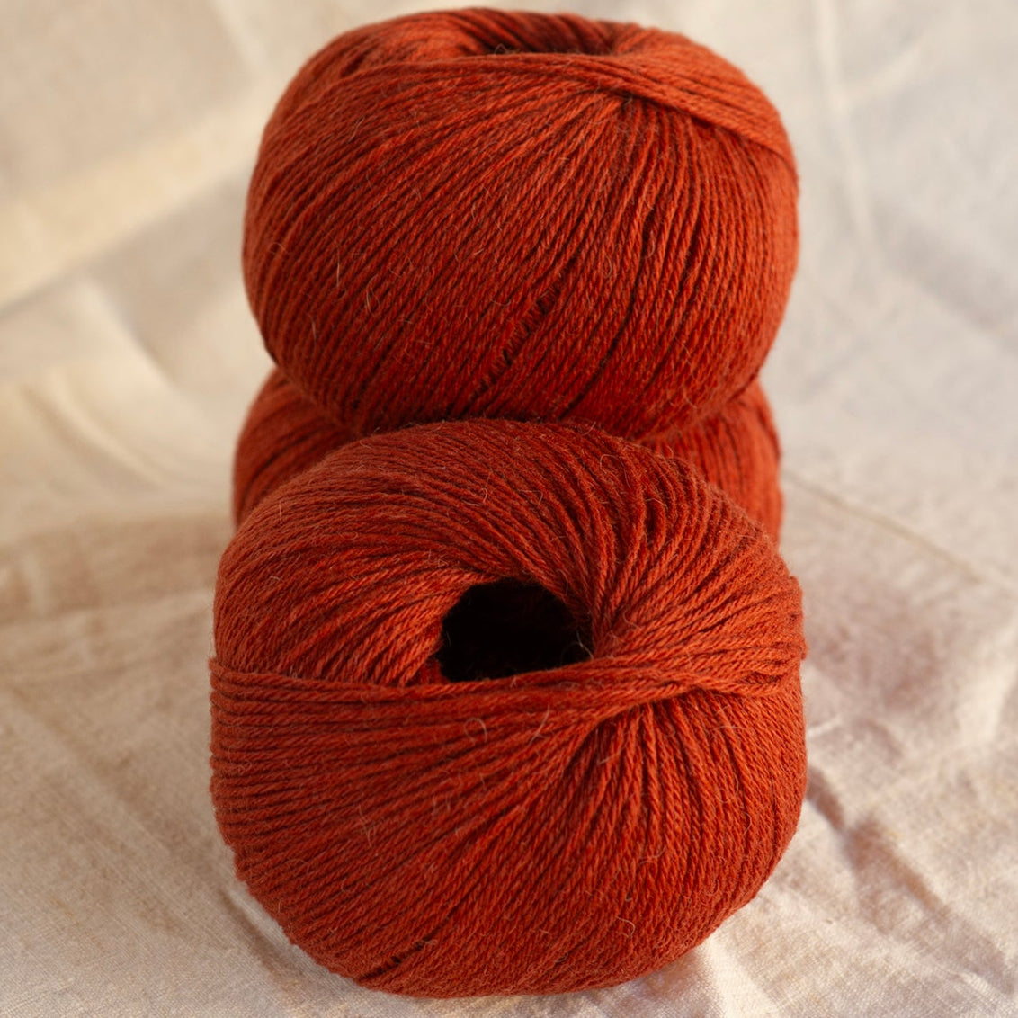 Baby Camel– Sunspun